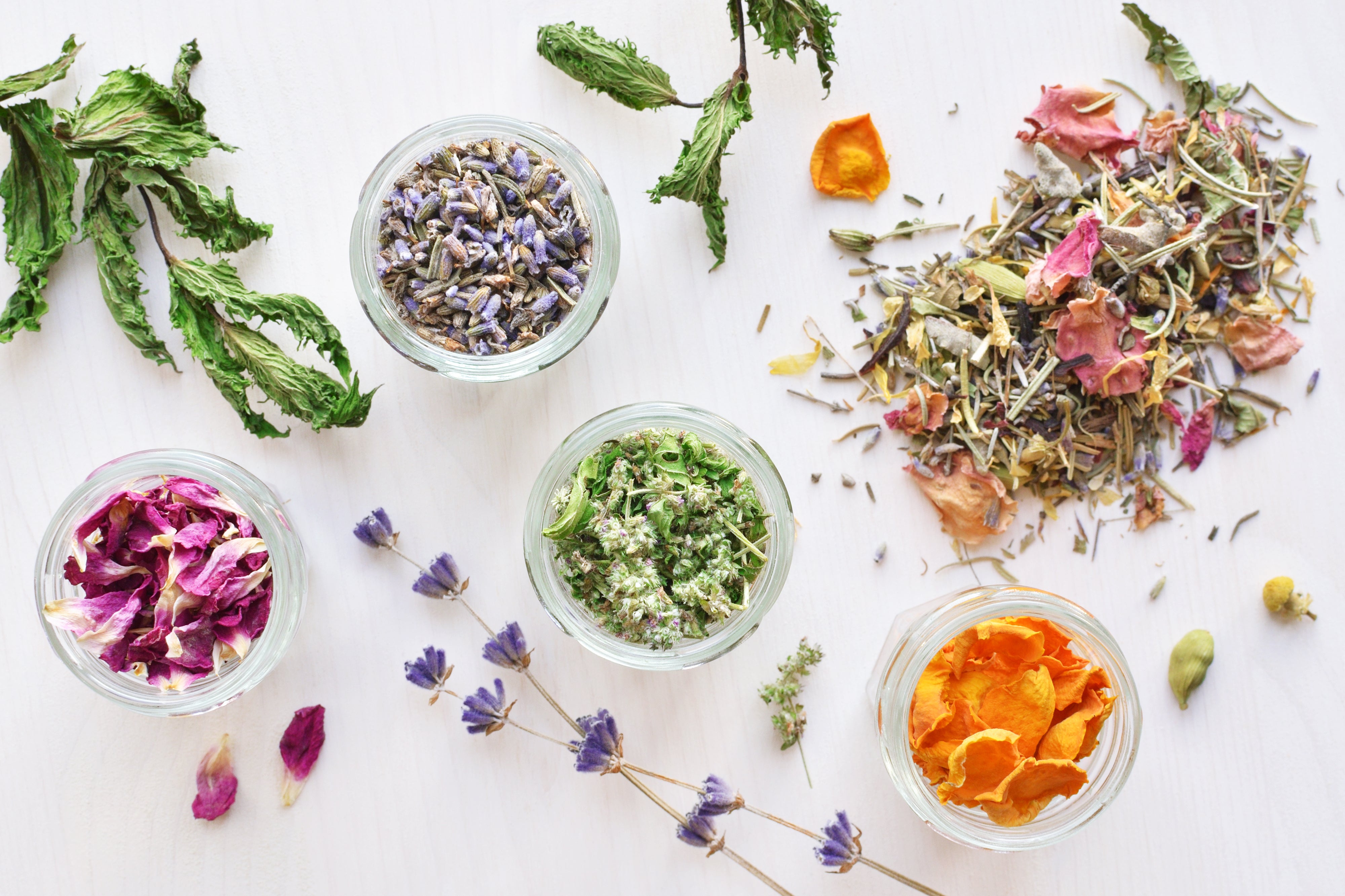 ZABICOLife: The Premier Luxury Herbal Teas I 100% Organic – ZABICOLife